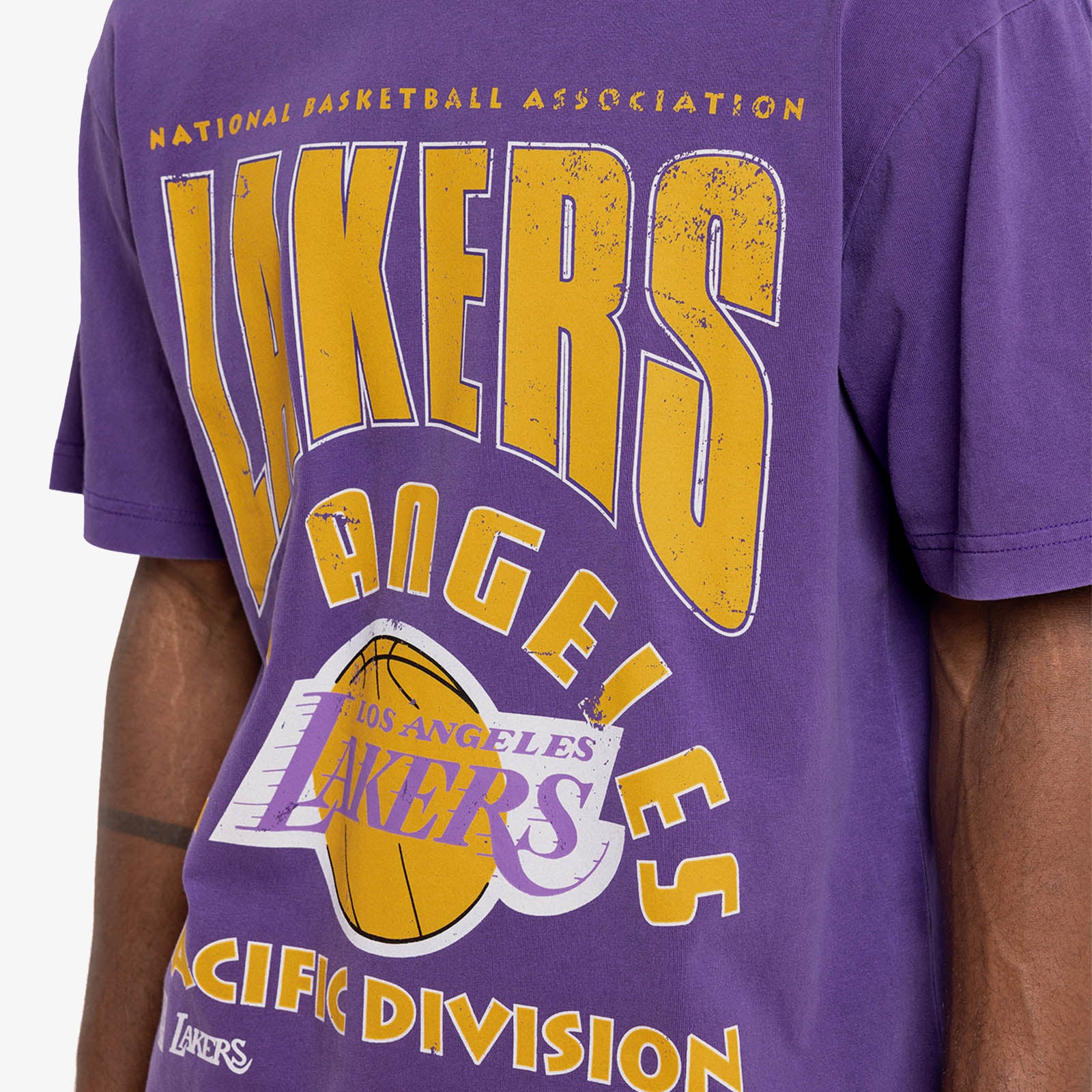 Los Angeles Lakers Division Arch Vintage Tee - Faded Purple - Throwback